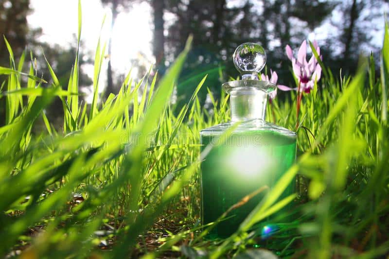 It’s MAGIC! • Enchanted Little World