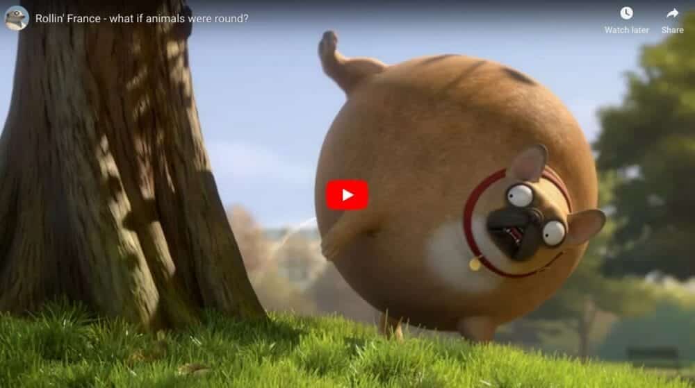 What If All Animals Were Round • Enchanted Little World