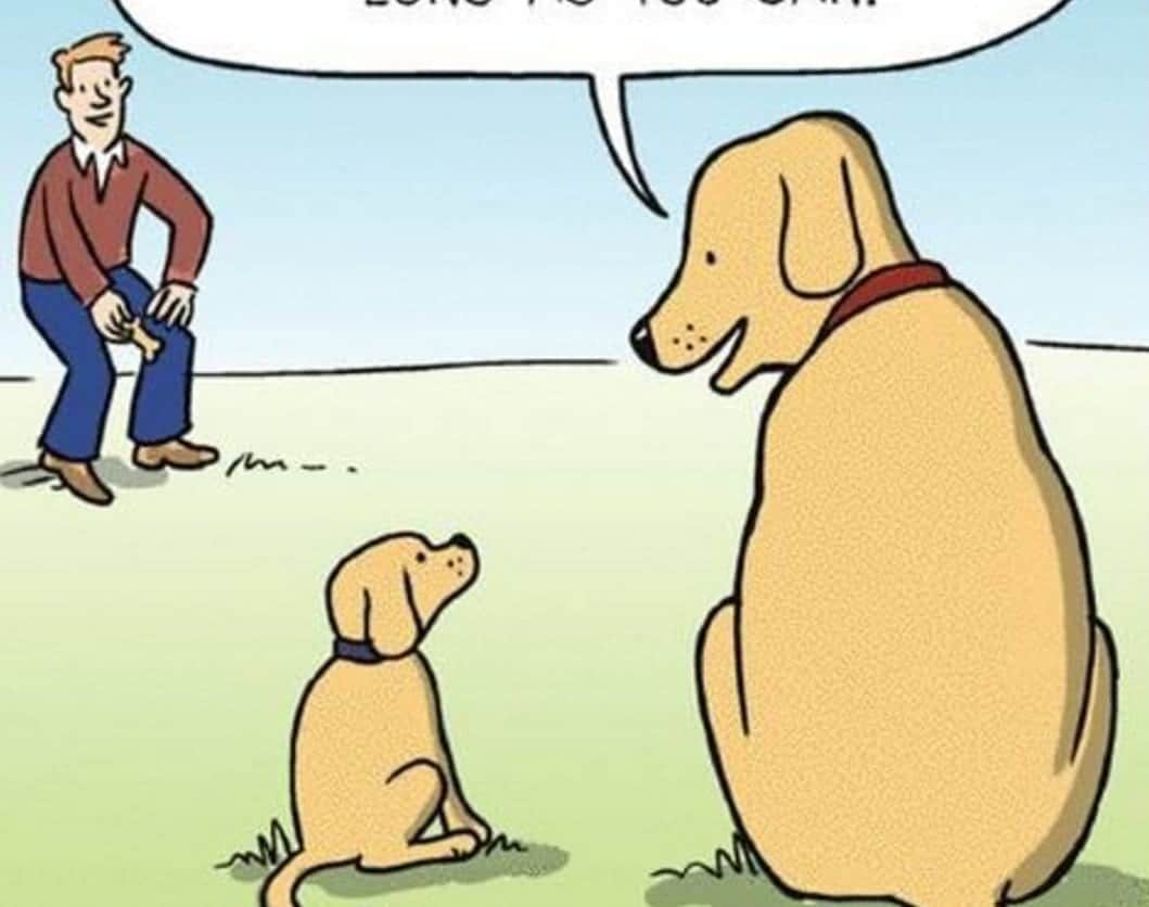 Funny Dog Comics • Enchanted Little World