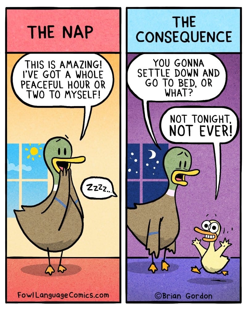 Relatable Duck – Food Comics • Enchanted Little World