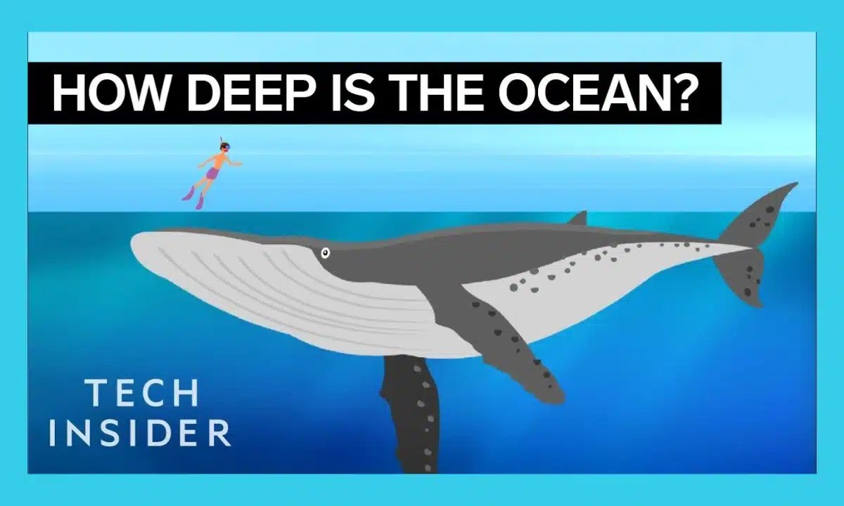 How Deep is The Ocean? • Enchanted Little World