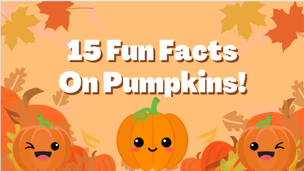 15 Fun Facts On Pumpkins • Enchanted Little World